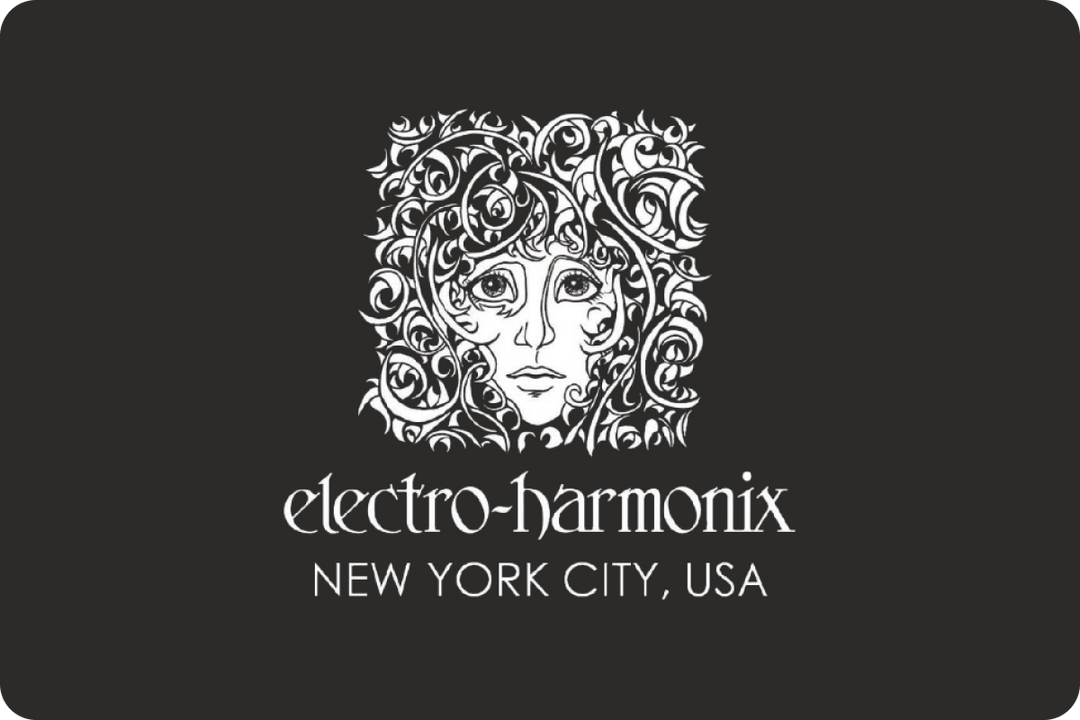 Fractal AM4 Multi-Effects Processor – Davis Guitar