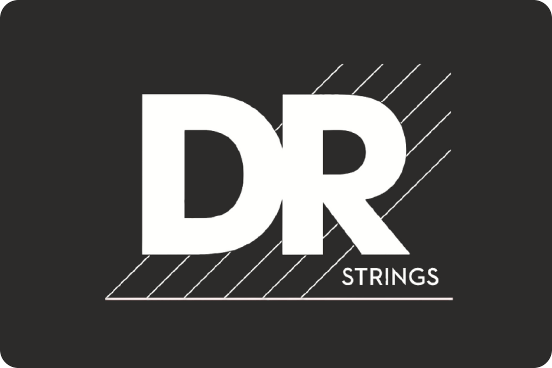 Fractal AM4 Multi-Effects Processor – Davis Guitar