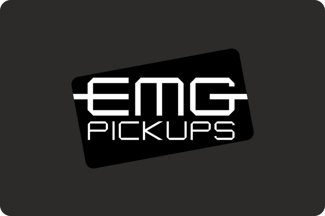 Fractal AM4 Multi-Effects Processor – Davis Guitar