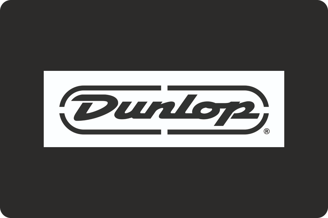 Fractal AM4 Multi-Effects Processor – Davis Guitar