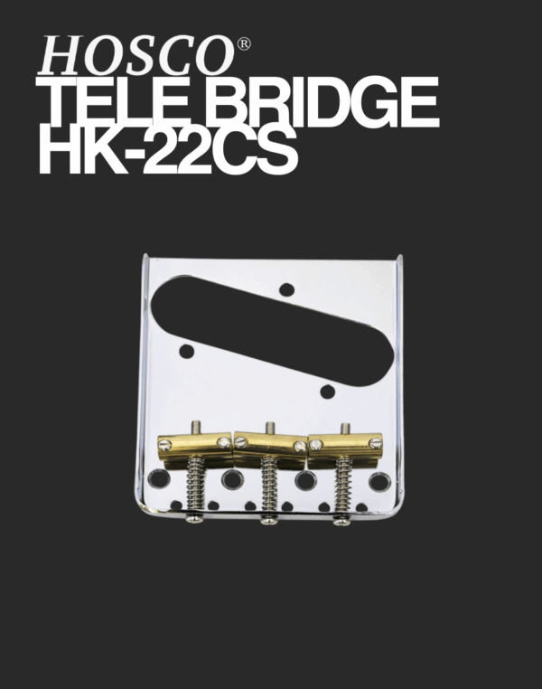 Hosco Tele Bridge - HK-22CS – Davis Guitar